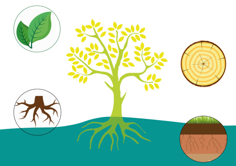 Guide to Green Action Week 2020 – Green Action Week